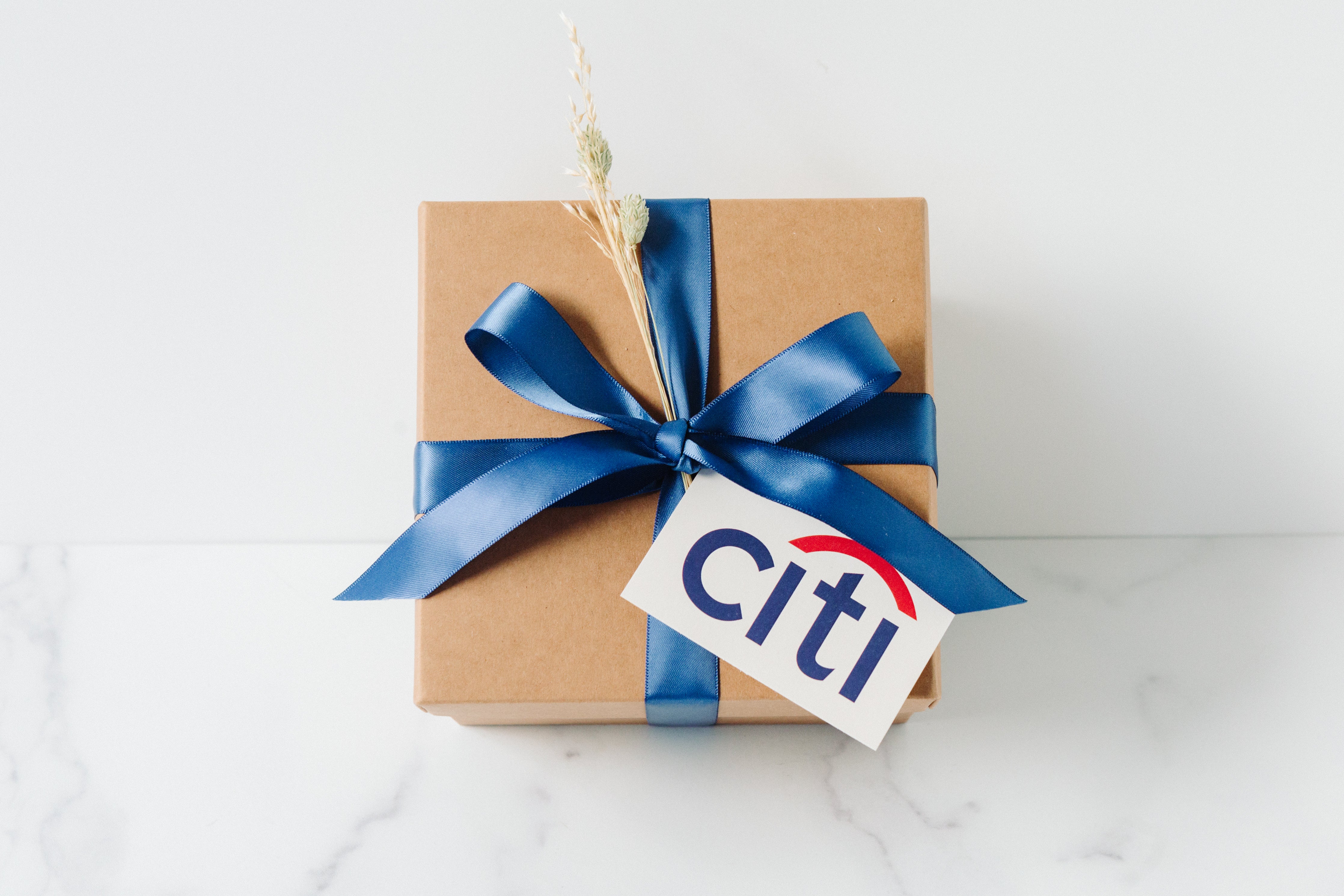 Custom Logo Gift Tag – Santa Barbara Company