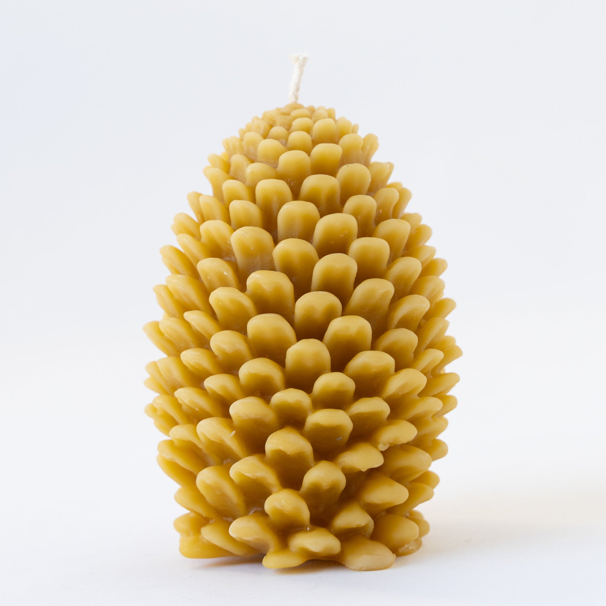 Pine Cone Beeswax Candles | The Santa Barbara Company